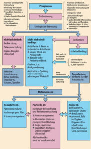 Dauererektion (Priapismus) - Euromeds Kamagra Shop